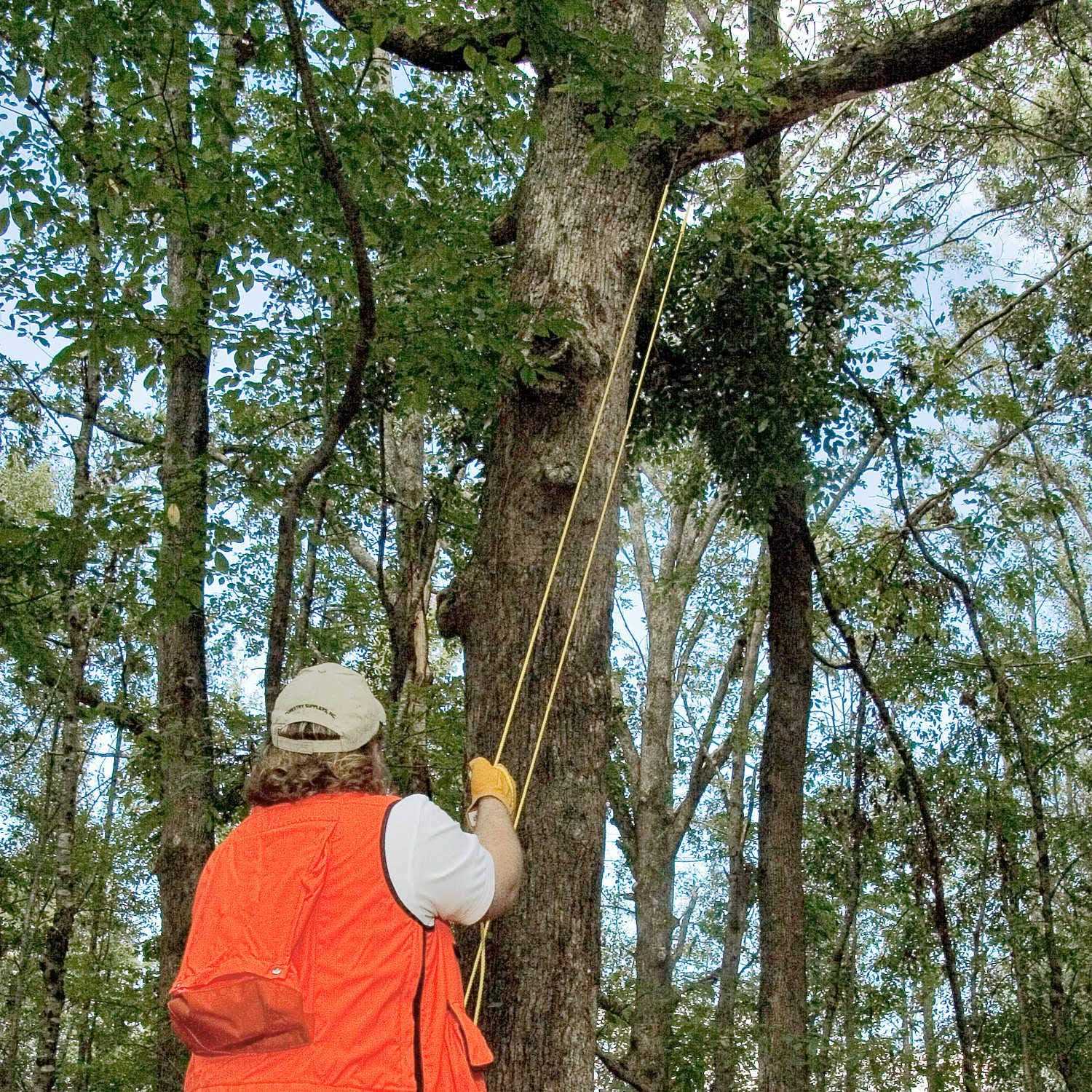 Professional High-Limb Rope Chainsaw - Hardware&Tools Online Store