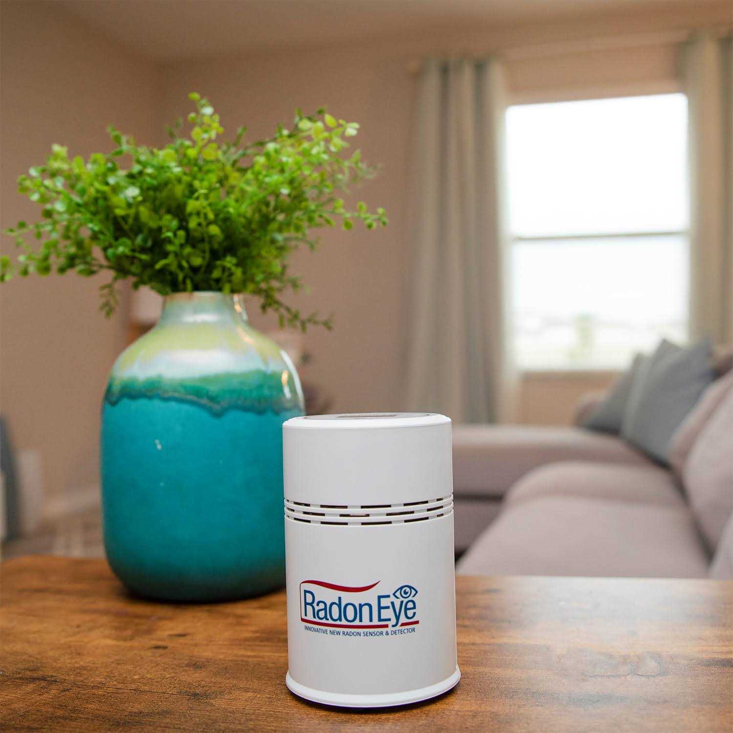 RadonEye Smart Home Radon Gas Detector, Fast and Accurate by Ecosense ...