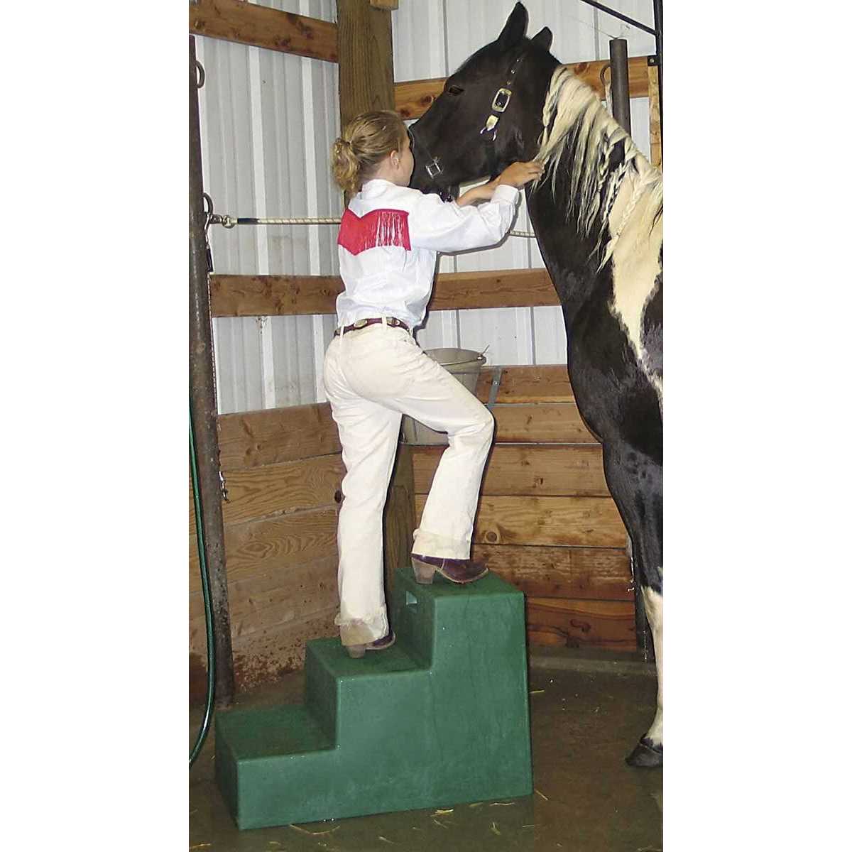 High Country Plastics 3 Step Mounting Step - Hardware&Tools Online Store