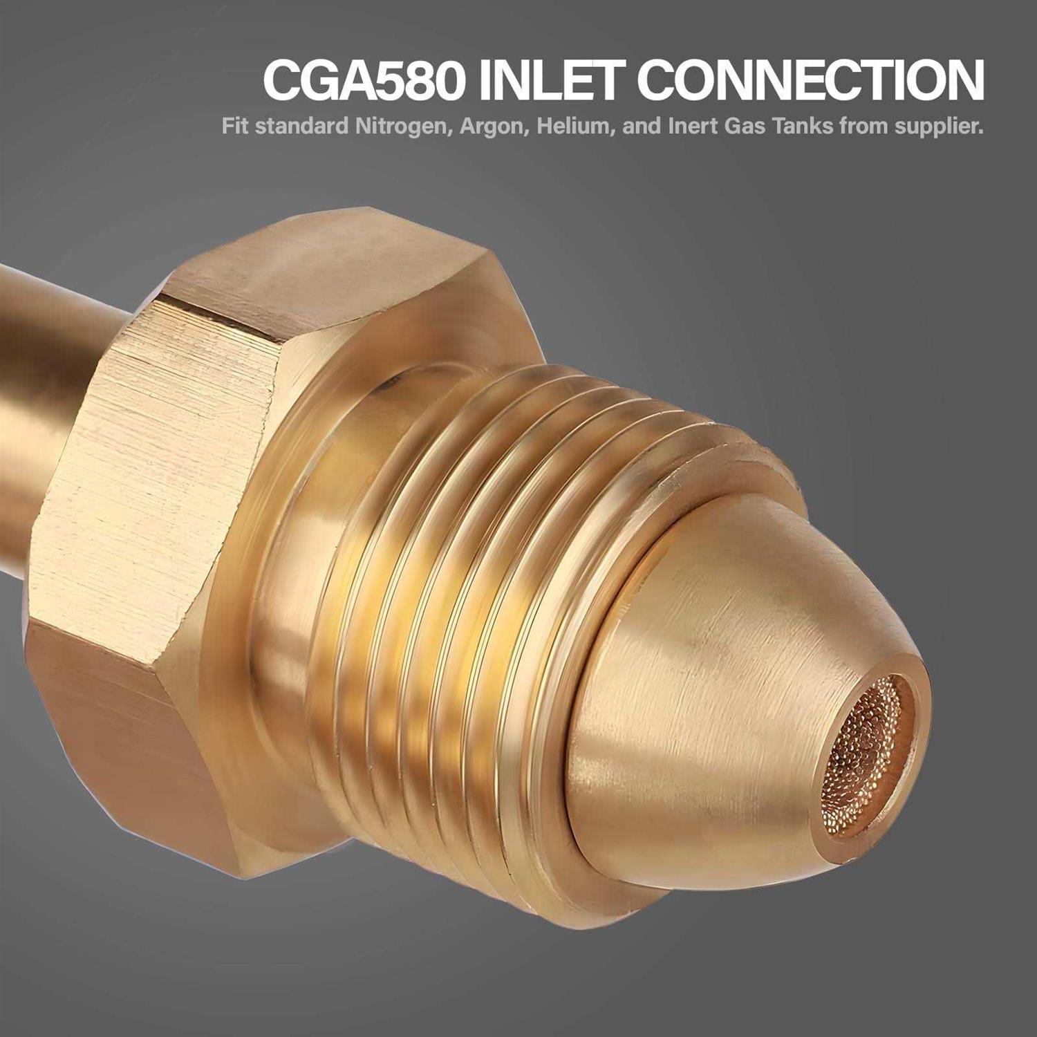 Nitrogen Regulator with 0-400 PSI Delivery Pressure, 60 Hose CGA580 ...