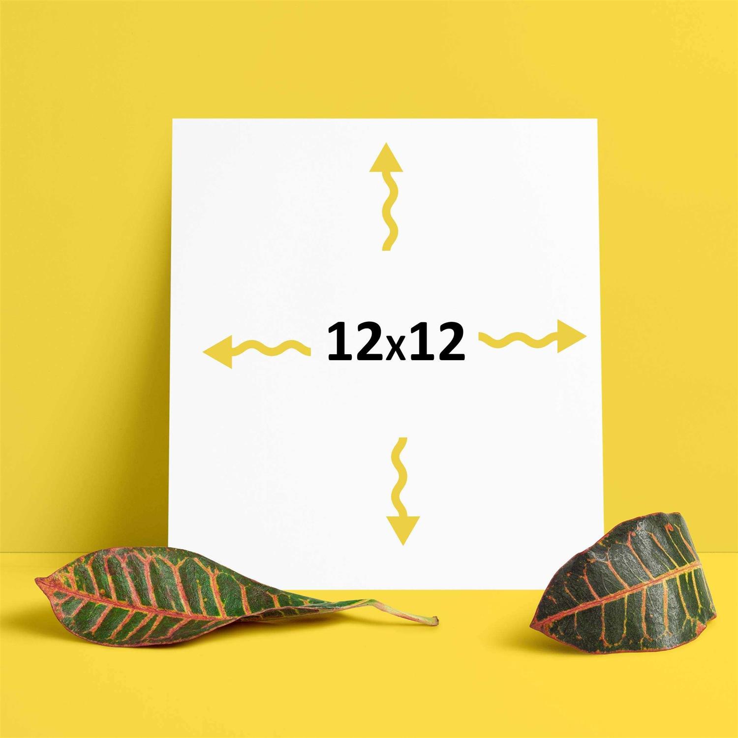 Expanded PVC Sheet Lightweight Rigid Foam 12 x 12 inches White Ideal ...